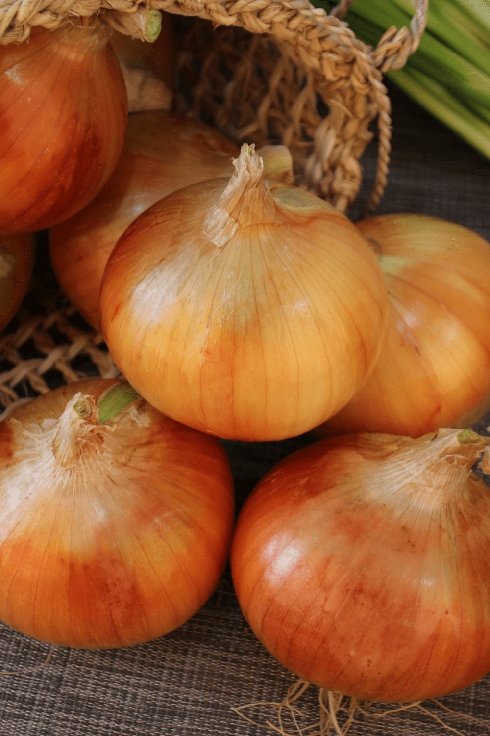 4 Different Ways to Cut Onions - The Ultimate Guide To Cutting Onions ...