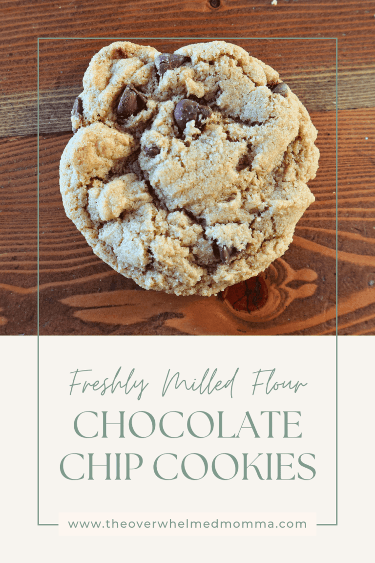 Perfect Fresh Milled Flour Chocolate Chip Cookies for High Altitude ...